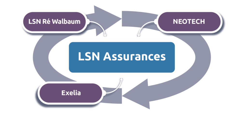 Nous connaître – LSN Assurances